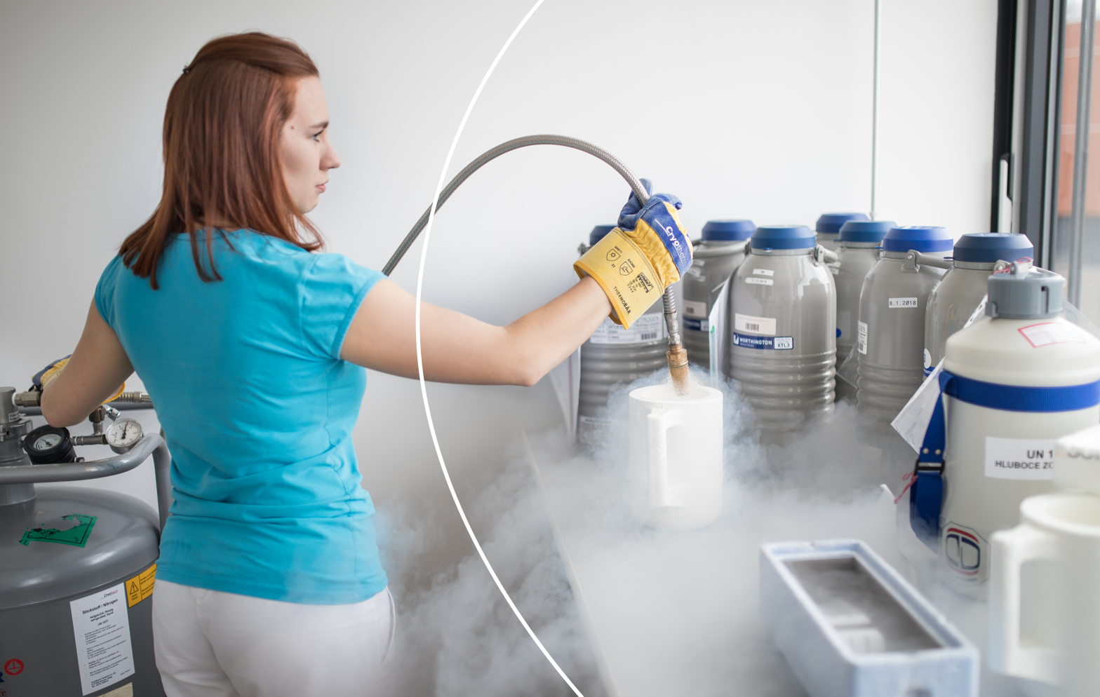 Cryopreservation | Repromeda