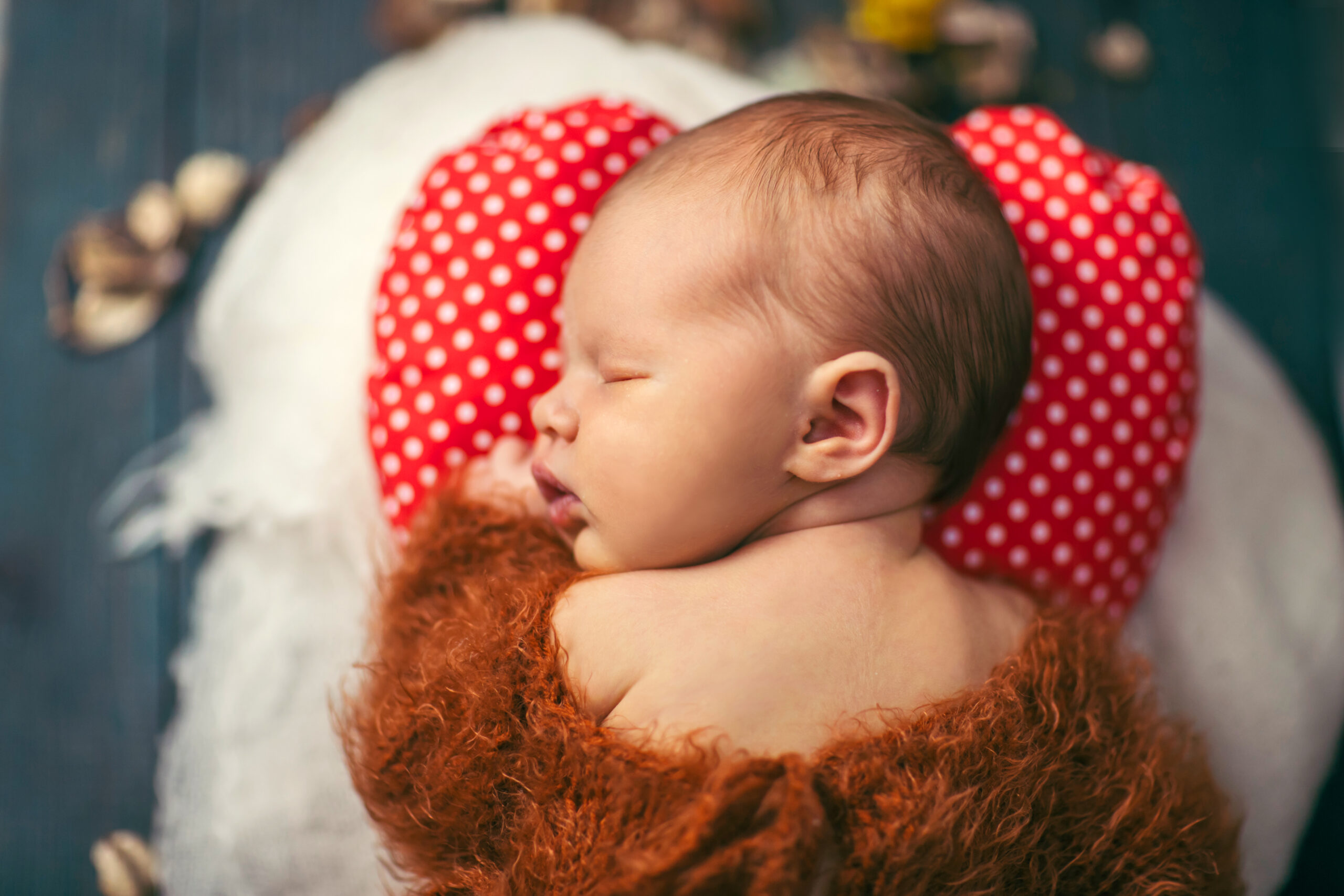 Bibianka | Repromeda