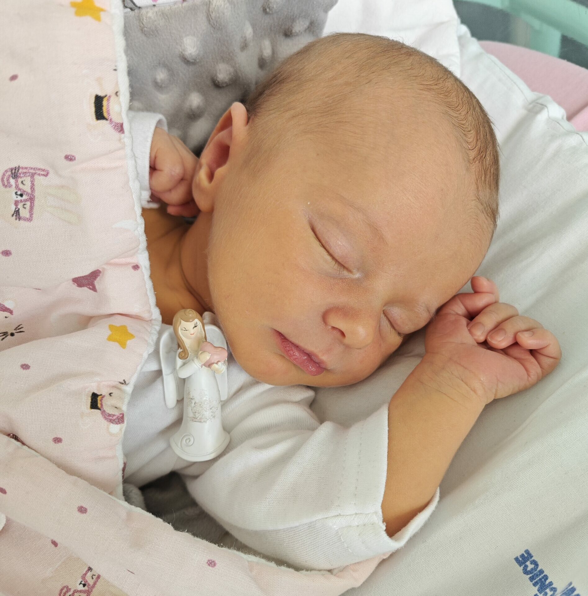 Repromeda - centrum asistované reprodukce